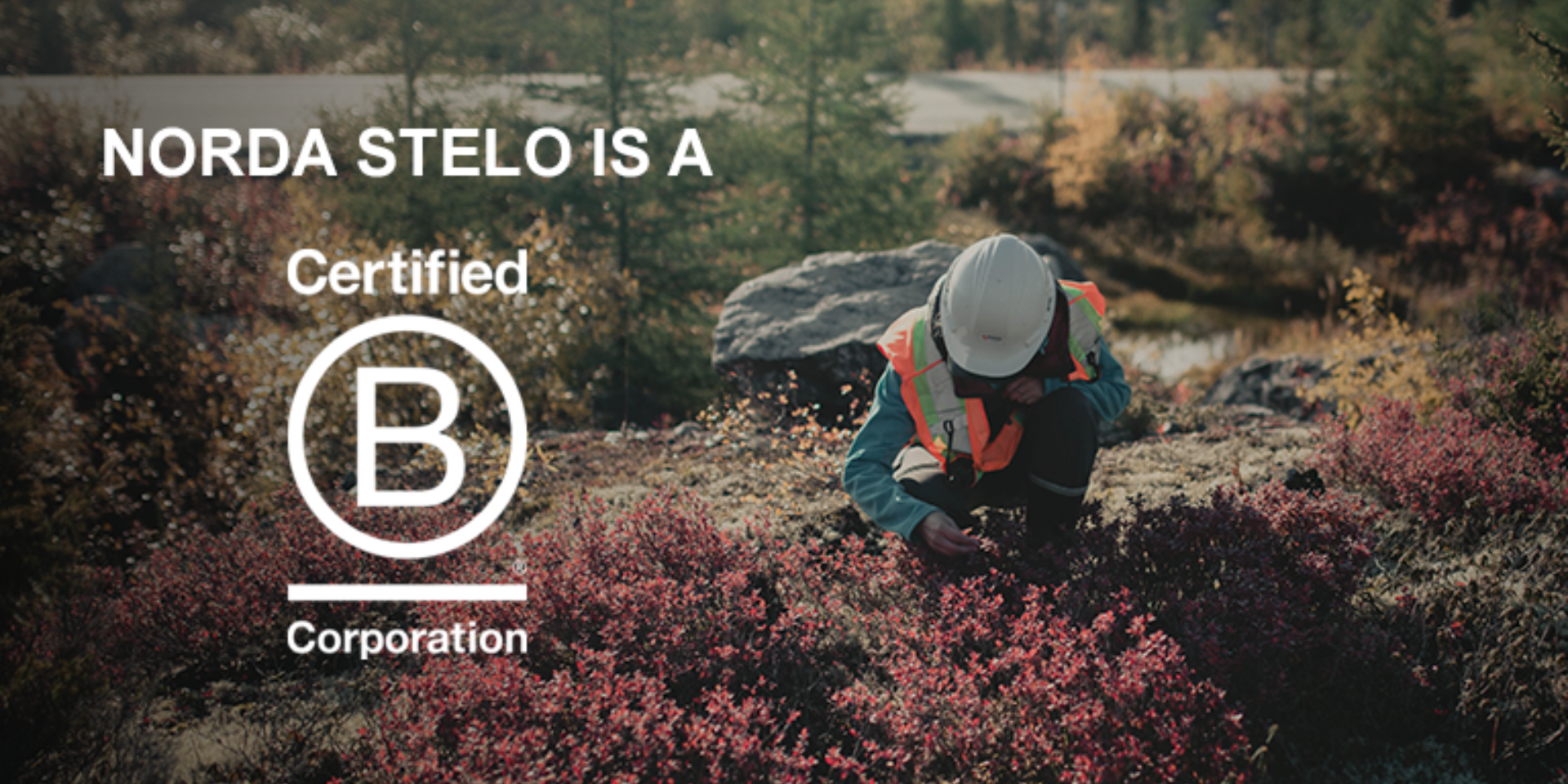 Norda Stelo Becomes the First Major Canadian Engineering Firm to Earn B ...