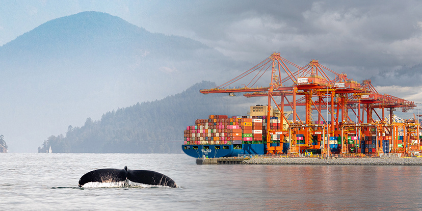 The Right Tools for a Sustainable Transformation