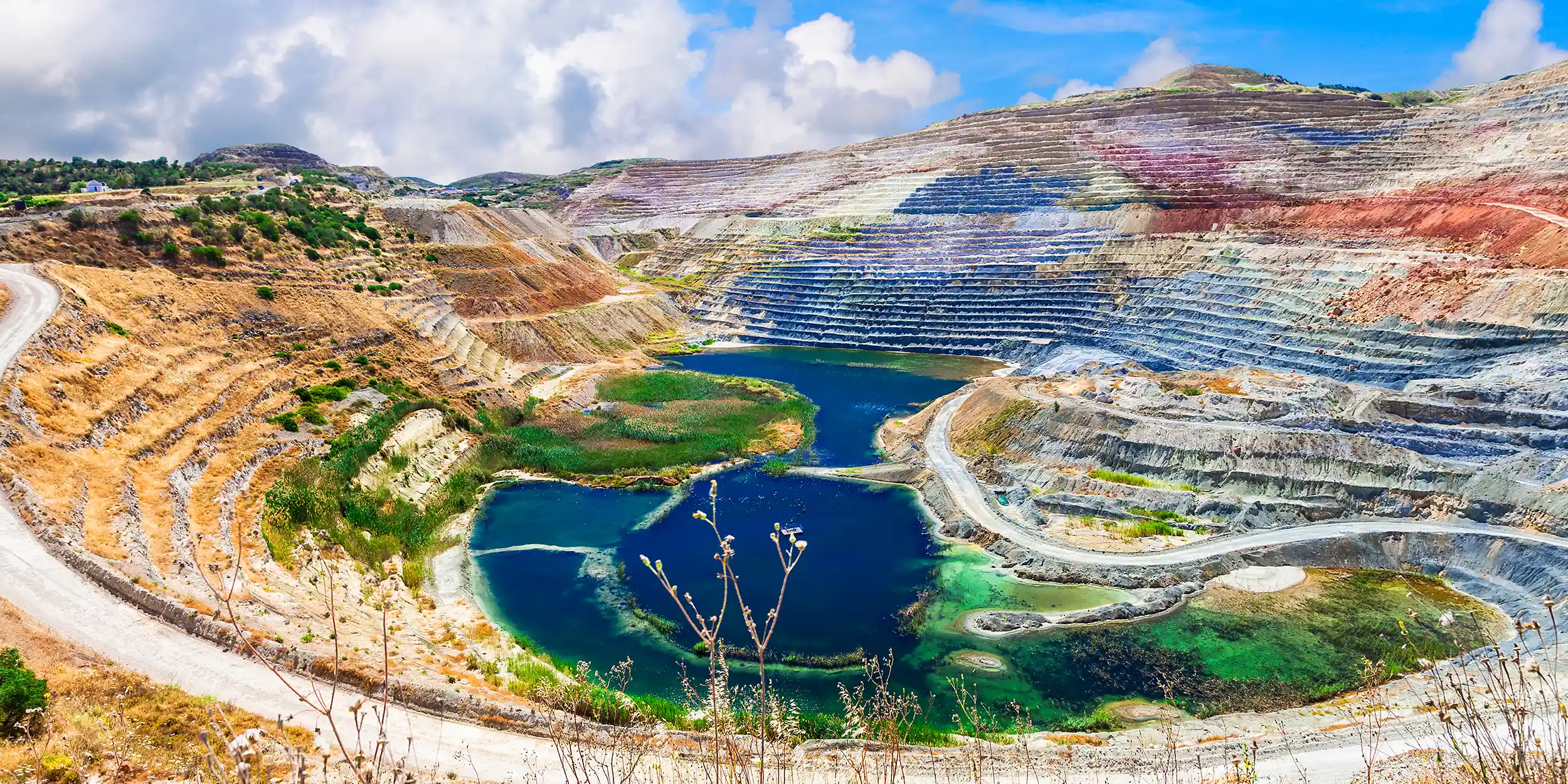 CO2 Capture Technology & Management Decision Making